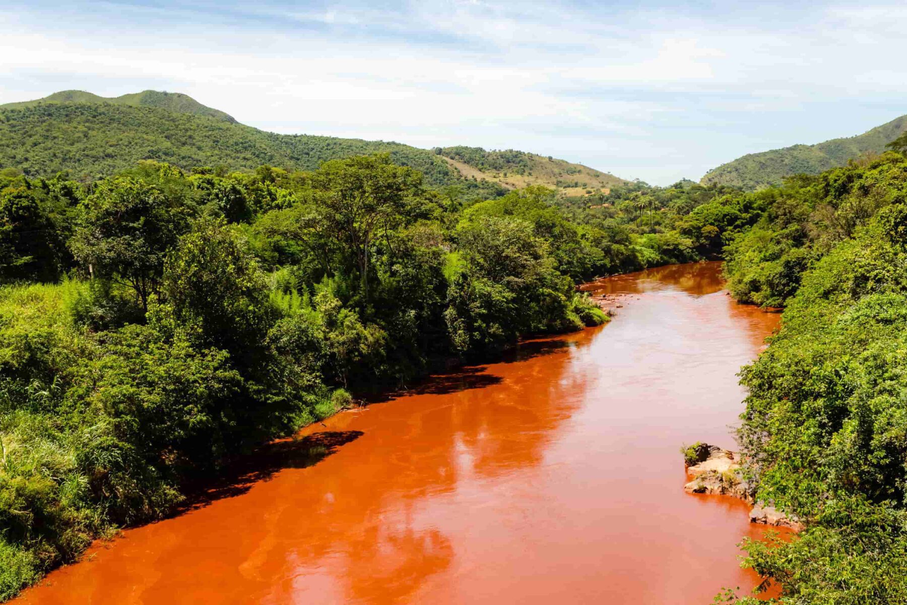 The Memory of Brumadinho - Revista Periferias
